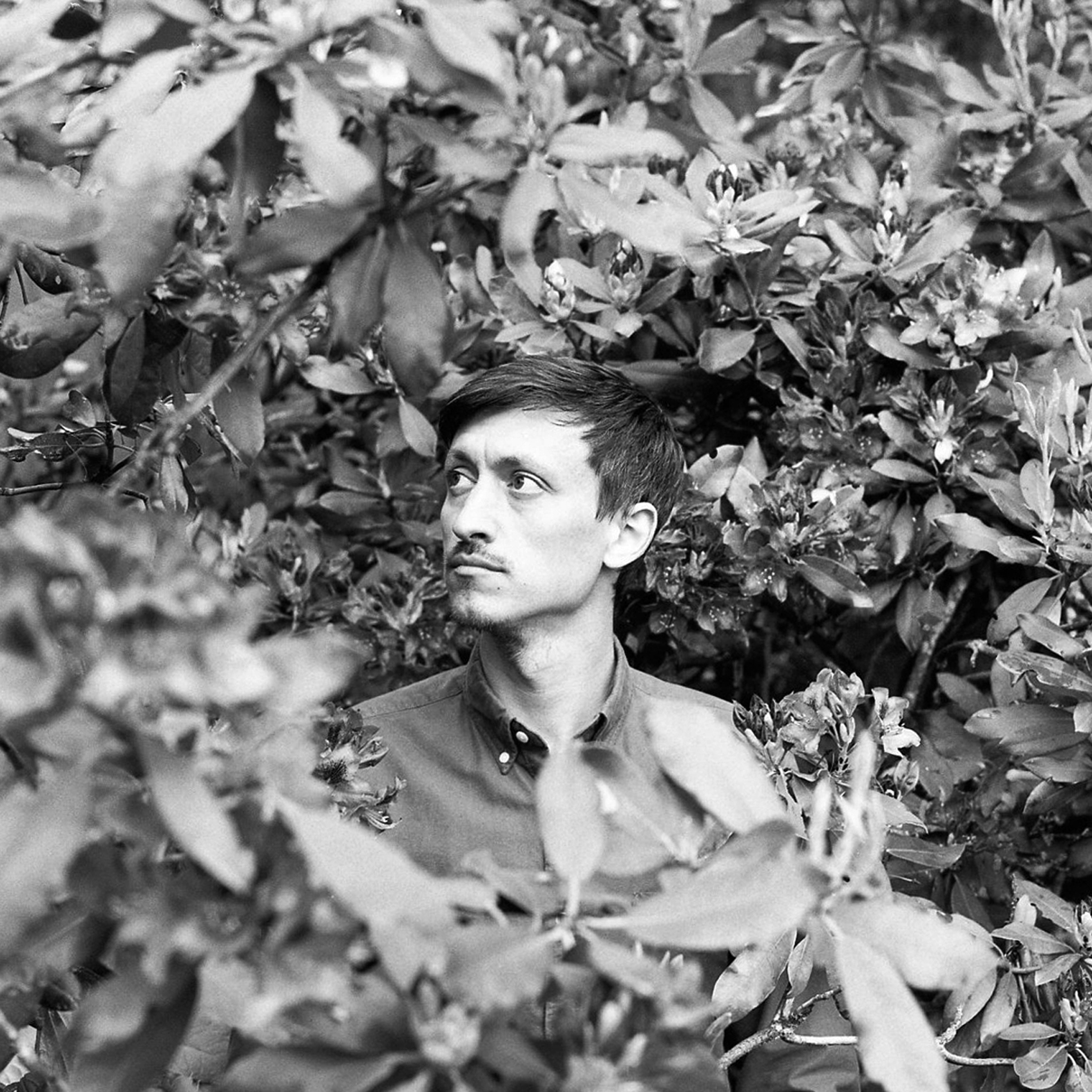 Chris D'Amore - See Saw Art