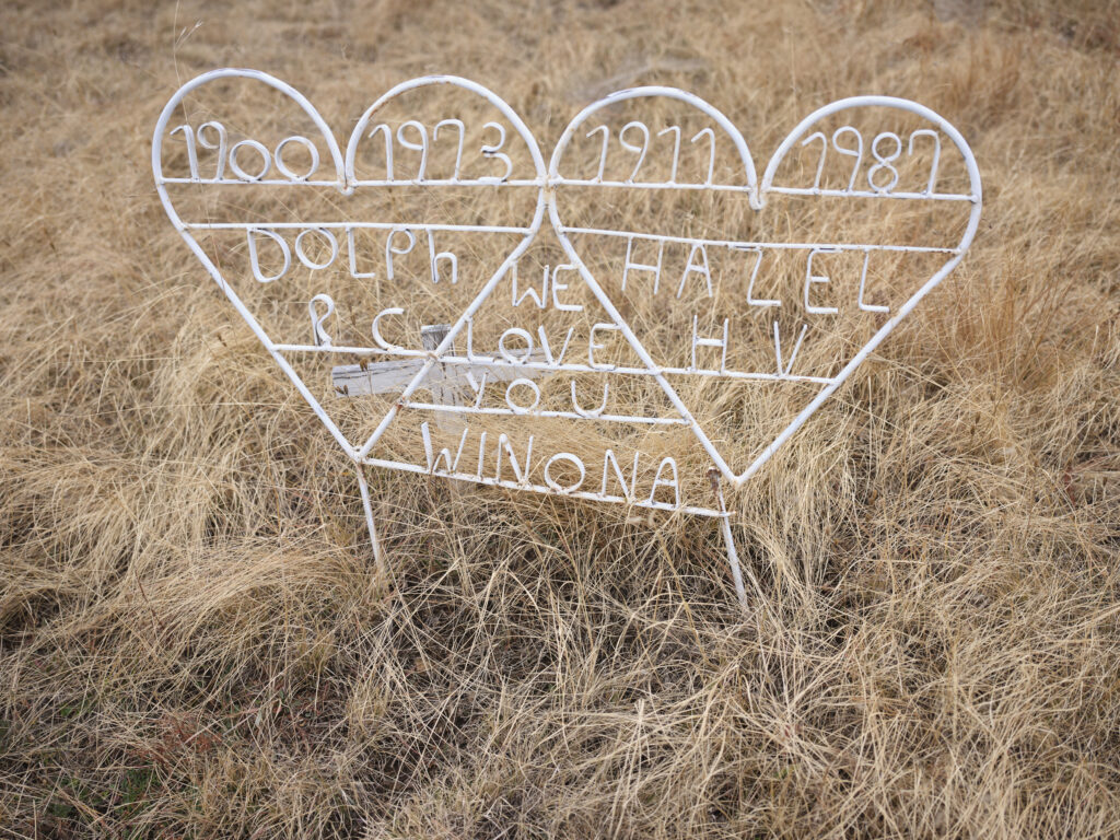 Dolph - Hazel by Caleb Swann - See Saw Art